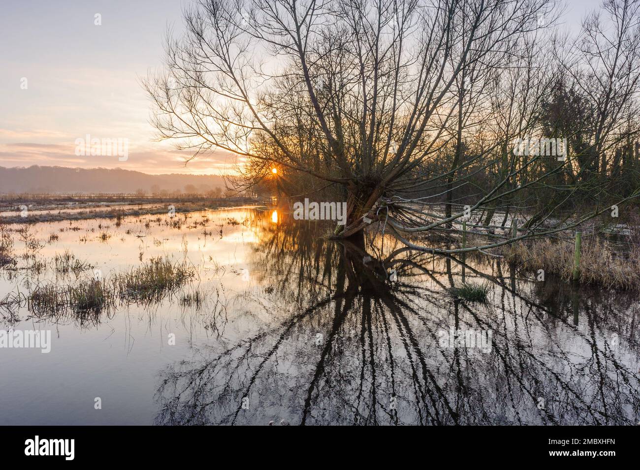 Burgate, Fordingbridge, Hampshire, England, UK, 21st January 2023 ...