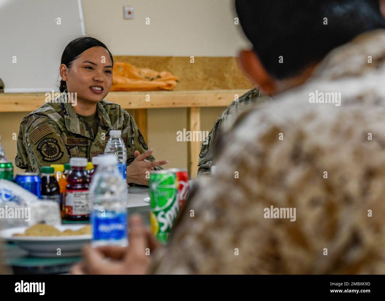 U.S. Air Force Senior Airman Anh Nguyen, a pest management specialist ...