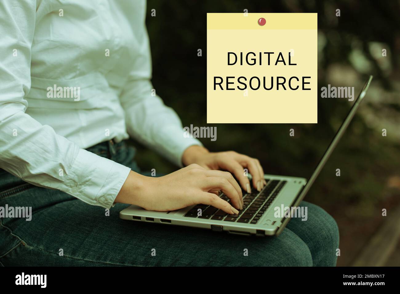 Text caption presenting Digital Resource. Business overview content that distributed digitally ...