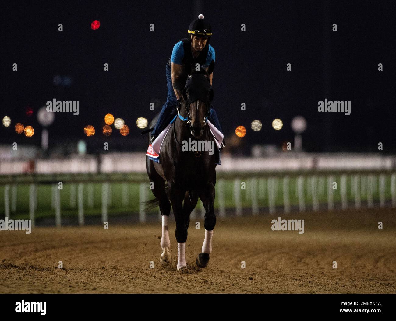 The Dubai World Cup contender Midnight Bourbon warms up during the ...