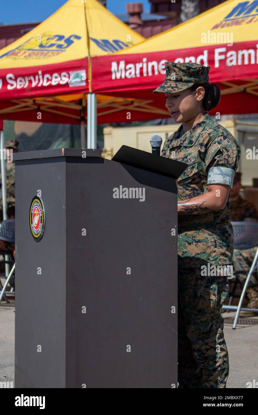4th light armored reconnaissance battalion (lar) hi-res stock ...