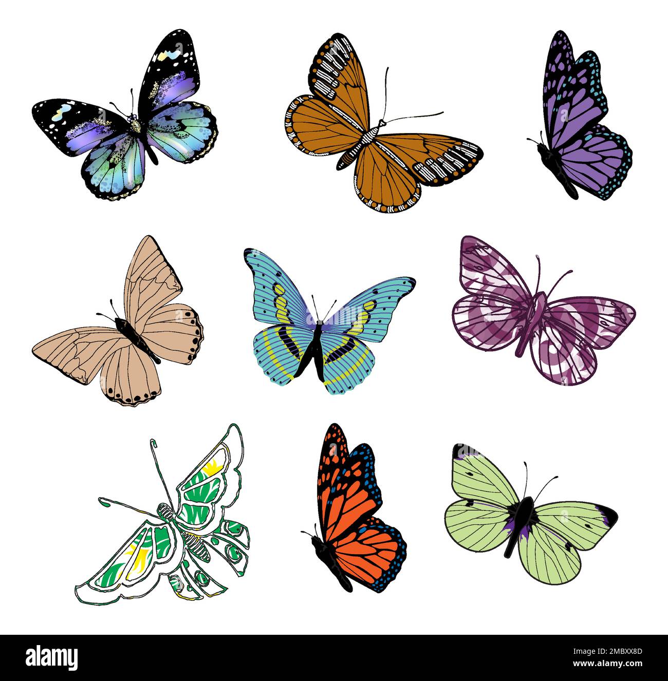 Butterfly Decorative Insect Icons Illustration. Elegance Cute Vintage ...