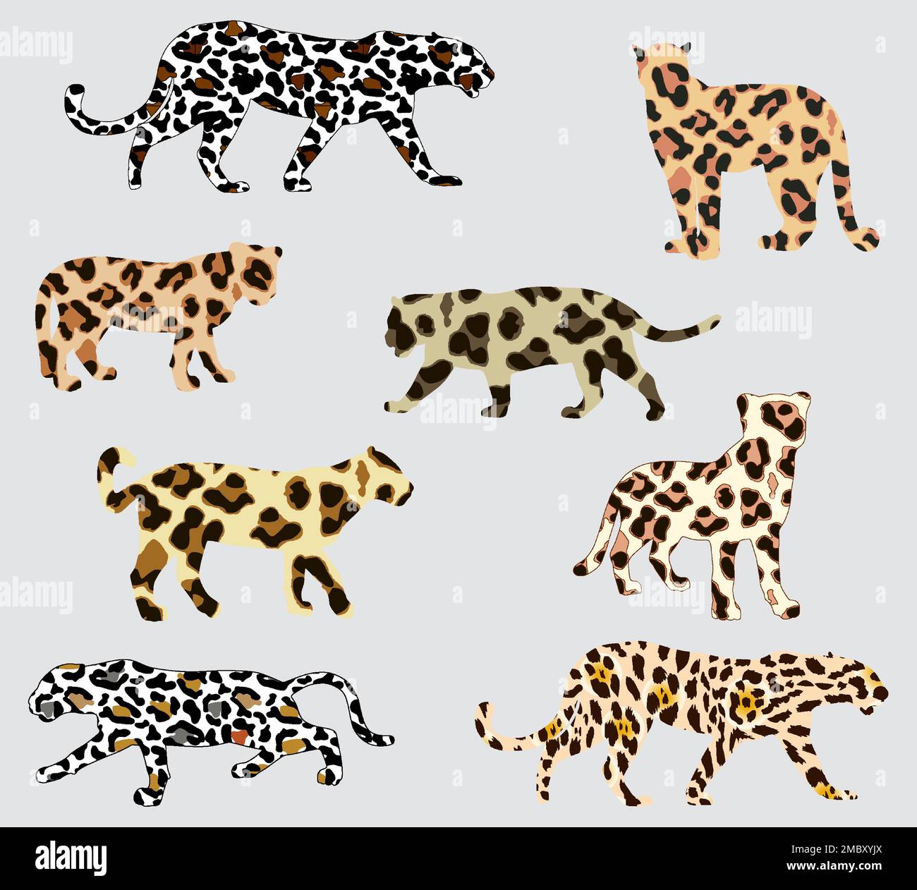 Leopard Patterned Leopard Icon Set Stock Vector Image & Art - Alamy