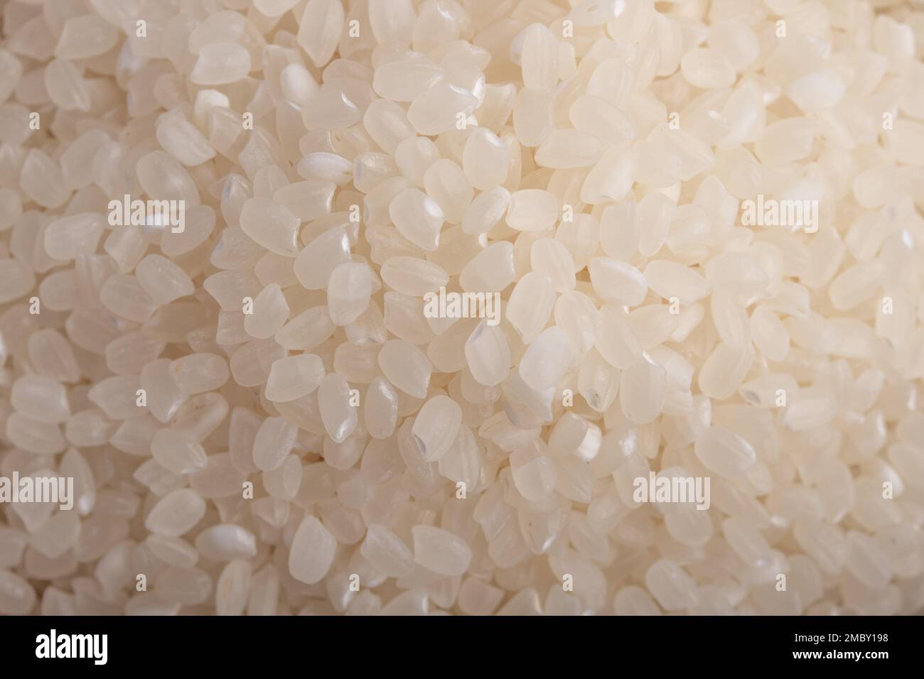 Raw Japanese rice grains, Japonica rice grains Stock Photo - Alamy