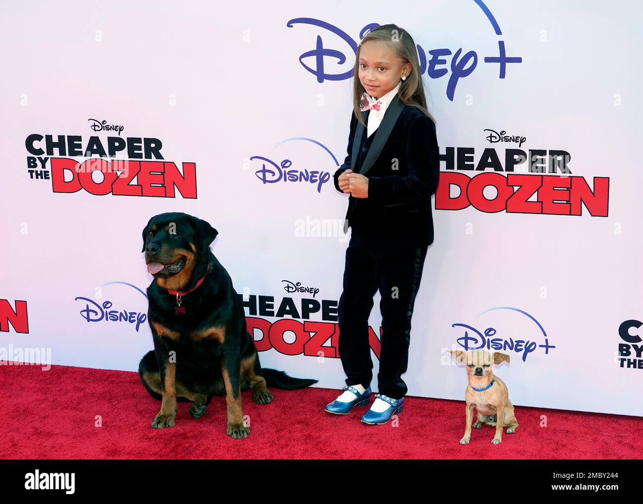 Mykal-Michelle Harris, a cast member in "Cheaper by the Dozen," poses ...