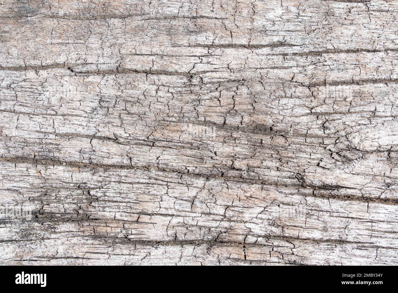Wood texture background for inserting text Stock Photo - Alamy