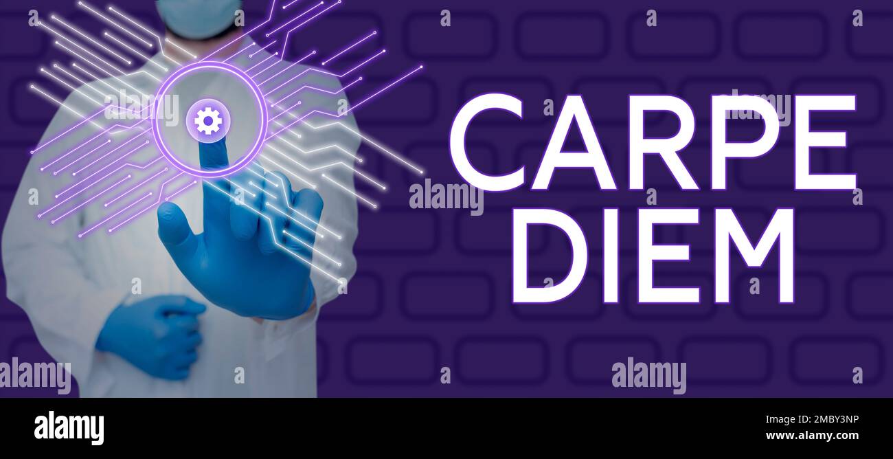 Sign displaying Carpe Diem. Word Written on public festival which ...