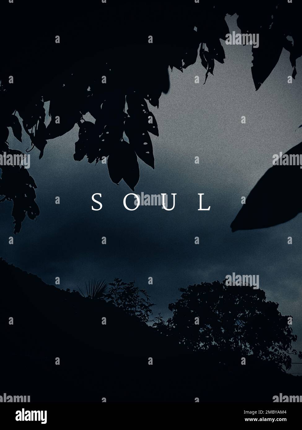A vertical shot of an aesthetic wallpaper idea with the word soul ...