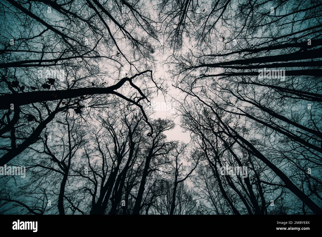 Canopy attached hi-res stock photography and images - Alamy