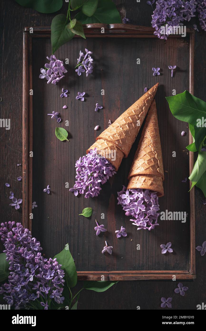 Unique and beautiful ice cream of flower. Beautiful background for a ...
