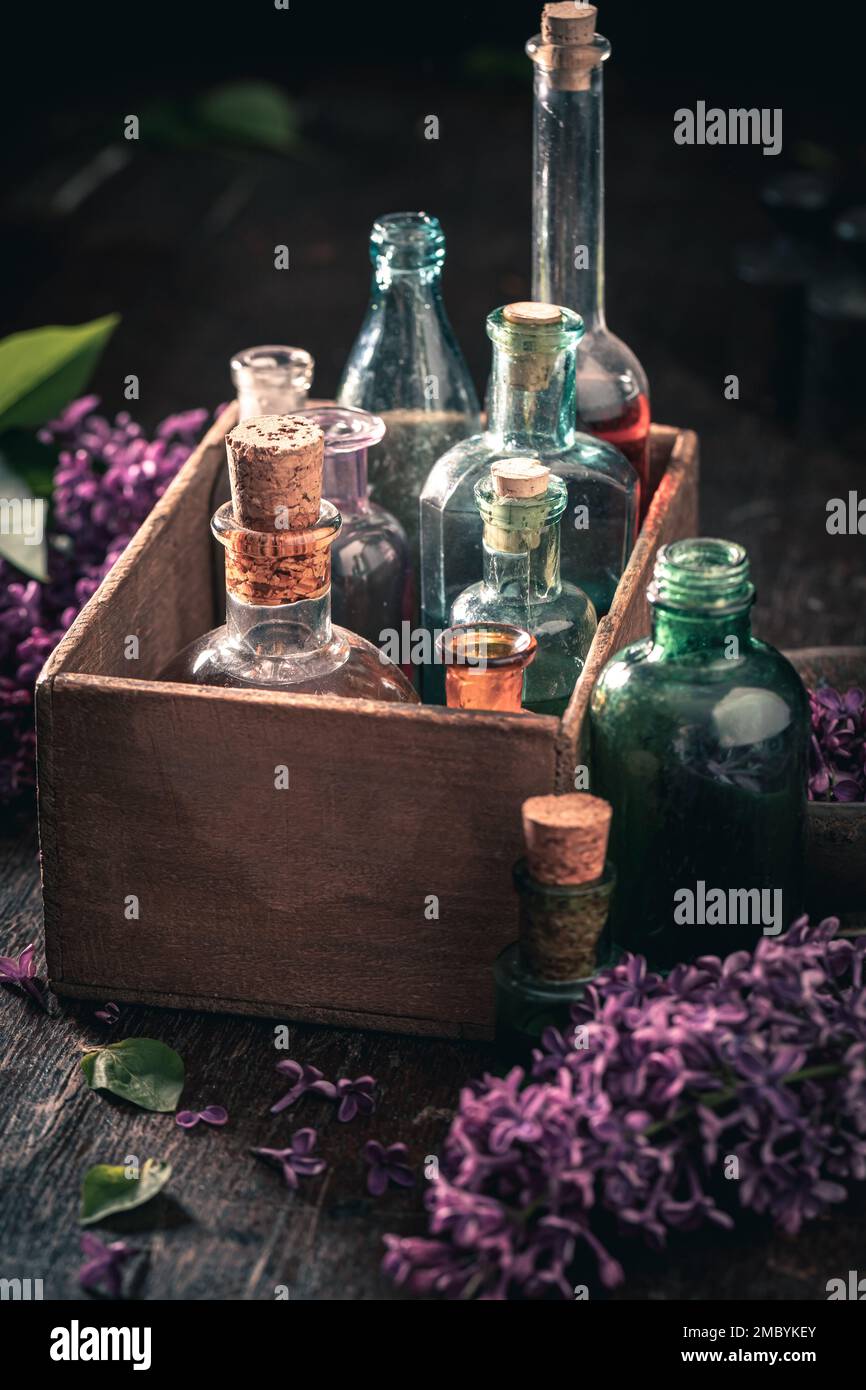 Special and bio oil for body care. Lilac flower products. Blooming ...