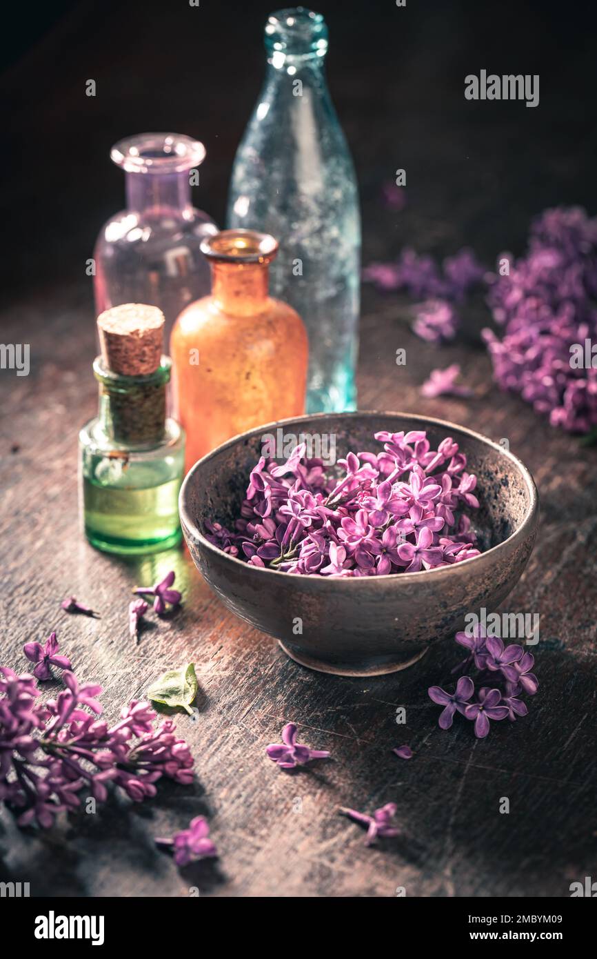 Unique and aromatic flower lilac oil. Lilac aromatic oils. Homemade ...