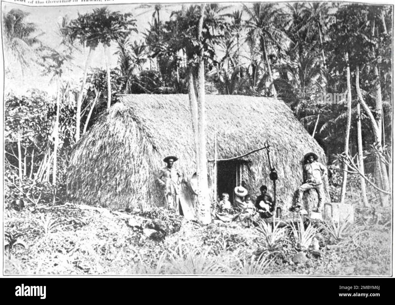 Native Hawaiian grass huts in the woods, c. 1901 Stock Photo - Alamy