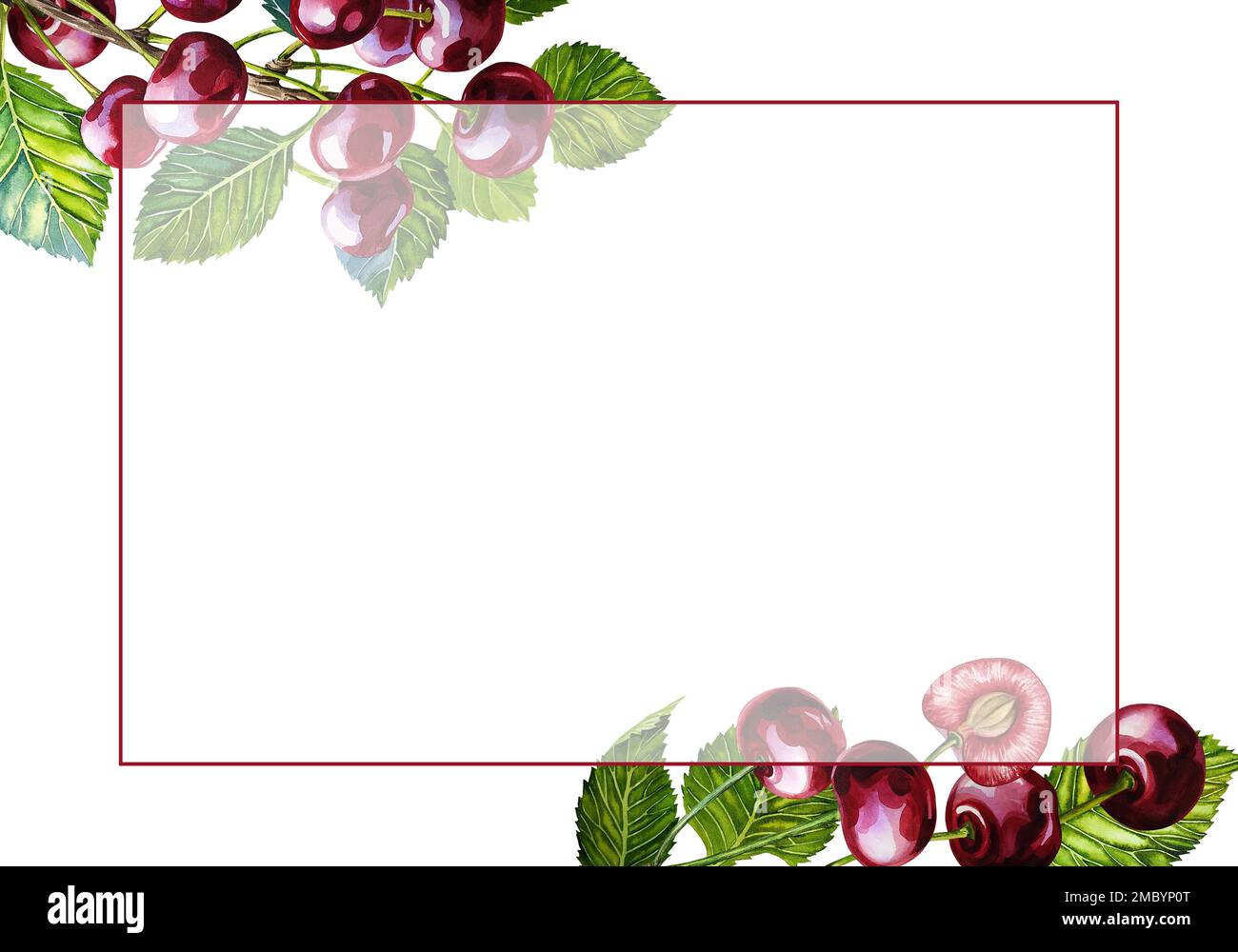 Cherry fruit frame. Watercolor illustration. For labels, packaging and ...