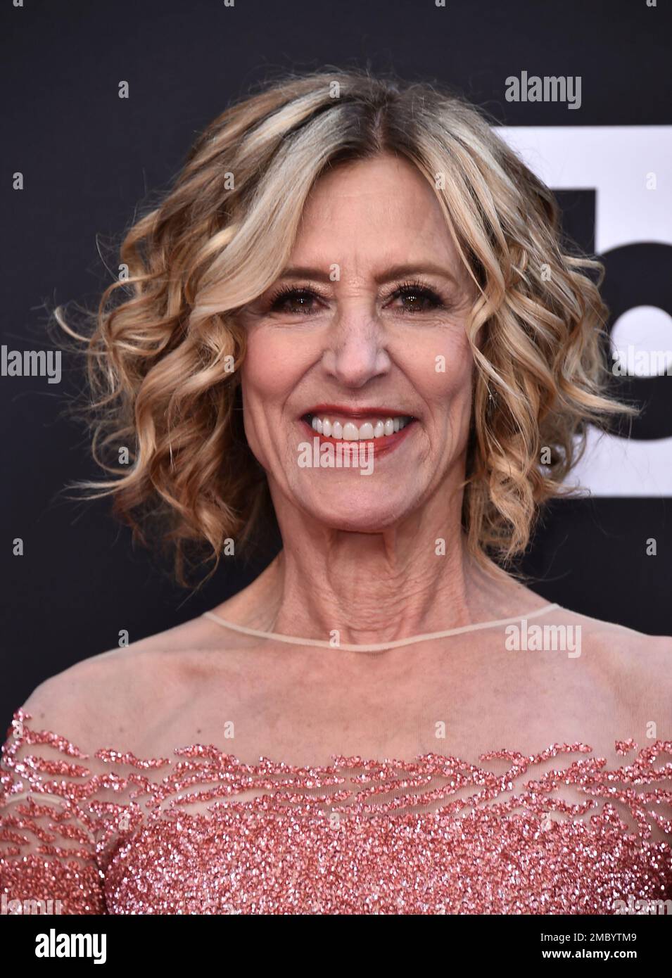 Christine Lahti arrives at the 27th annual Critics Choice Awards on ...