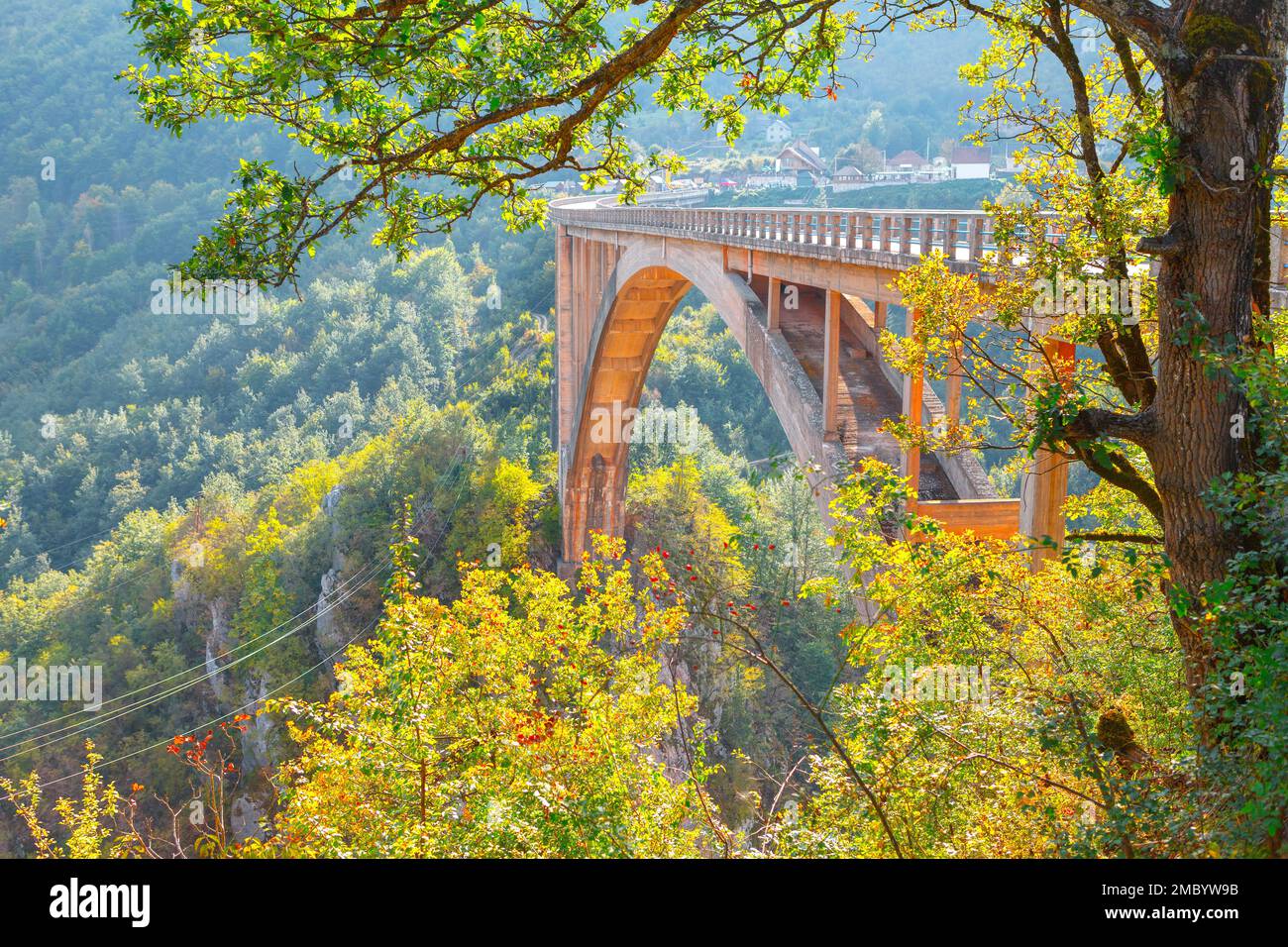 Arch Bridge Over Mountain Canyon . Durdevica Tara bridge in Montenegro ...