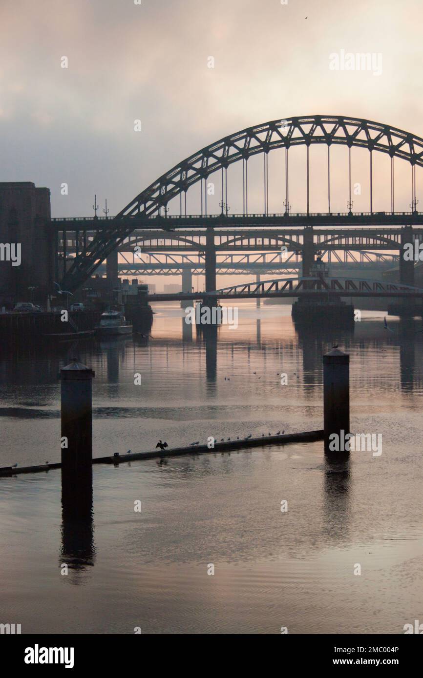 Tyne Bridge, High Level, Bridge and Swing Bridge at dusk with ...