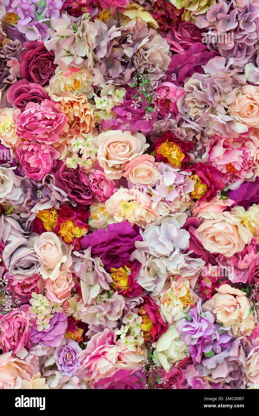 Pink romantic beautiful flowers wall. background of roses for wedding ...