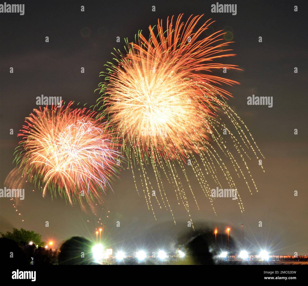 A scenery of beautiful colorful fireworks against the dark night sky ...