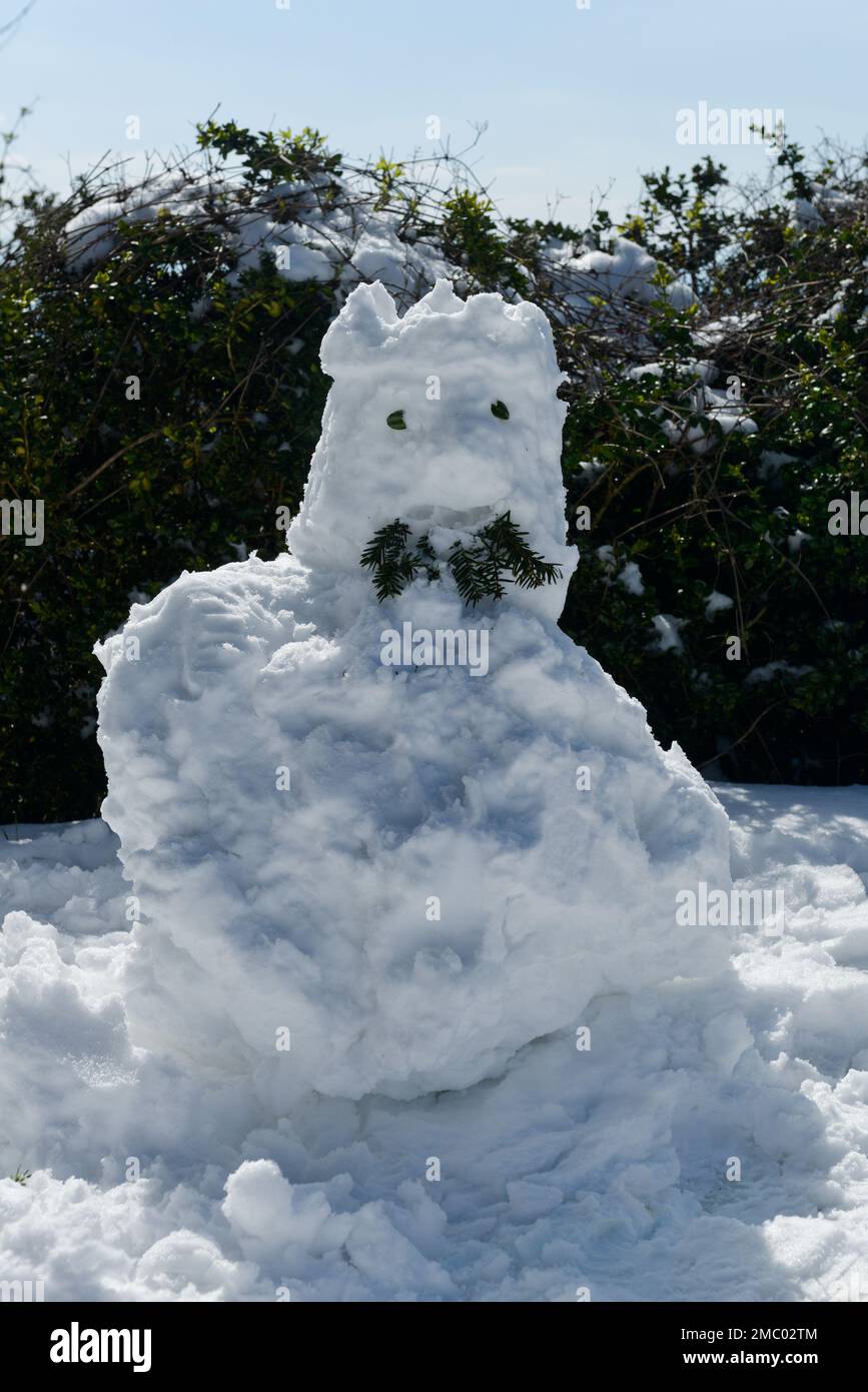Snowman with crown and moustache created with fir branches, vertical ...