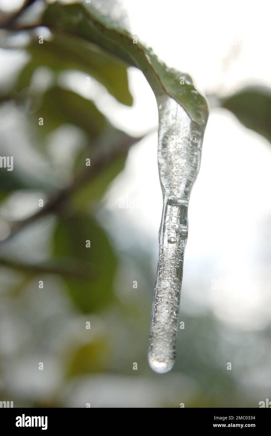 Drop of frozen water transformed into a long stalactite by the cold ...