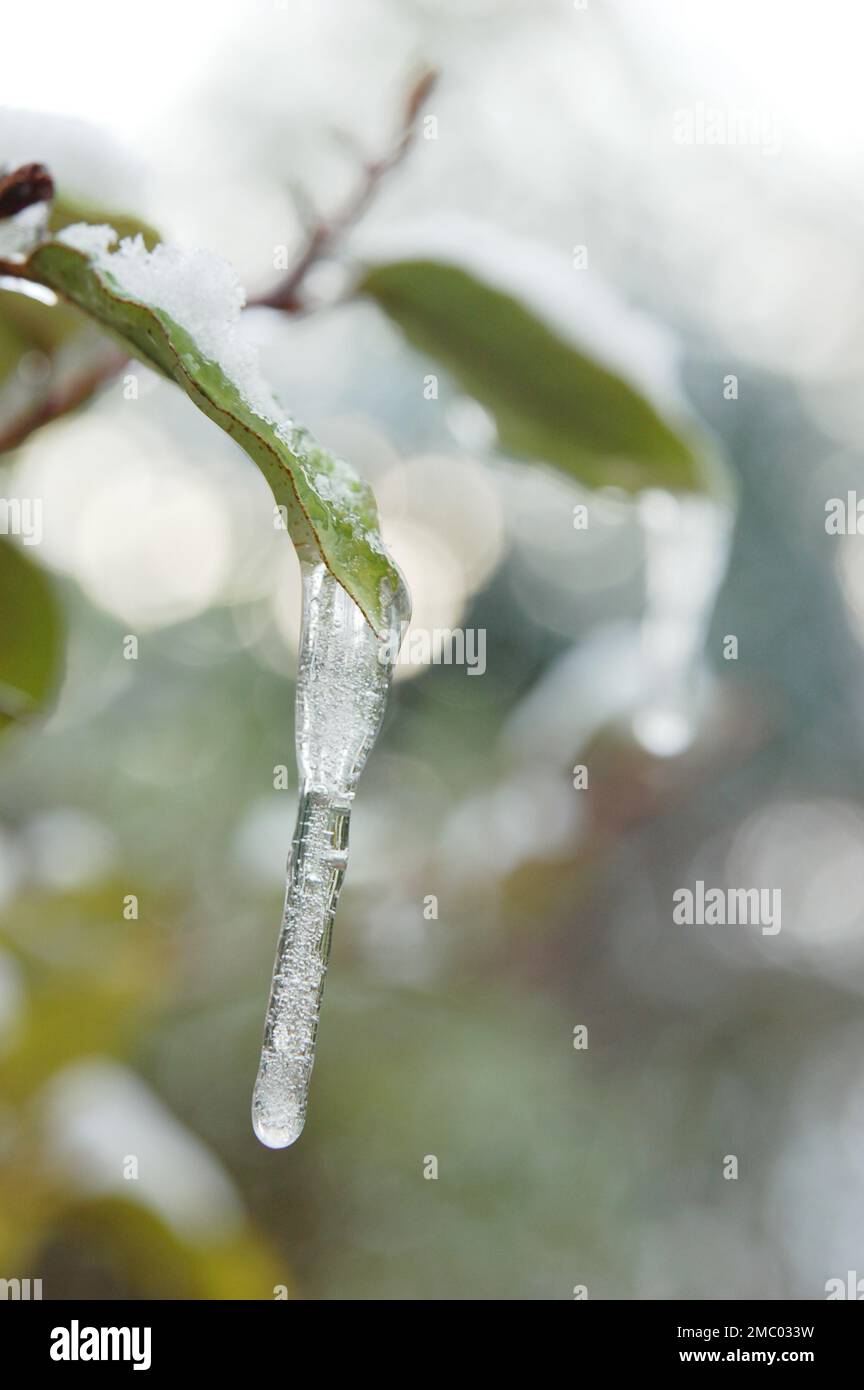 Drop of frozen water transformed into a long stalactite by the cold ...