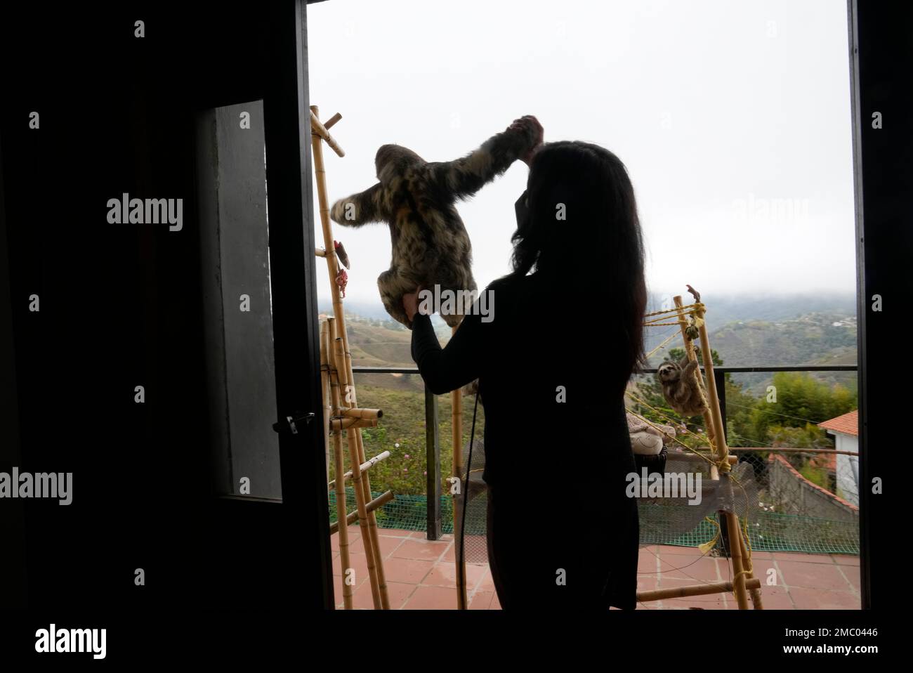 Haydee Rodriguez helps Chuwie the sloth balance on a stick on the ...