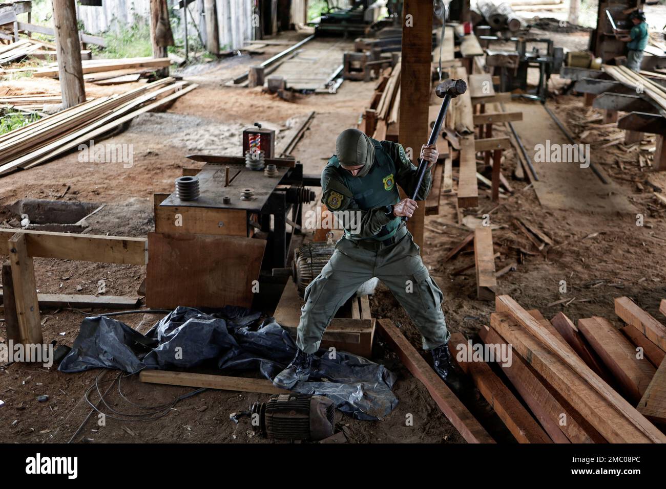 Combat deforestation hi-res stock photography and images - Alamy