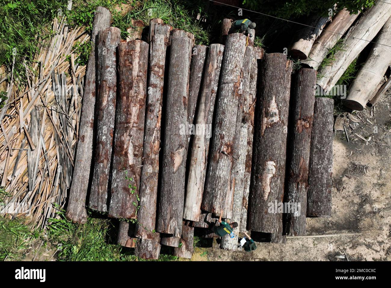 Combat deforestation hi-res stock photography and images - Alamy