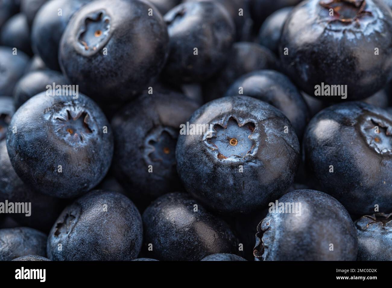 Raw blueberries macro background. Closeup texture of sweet juicy ...