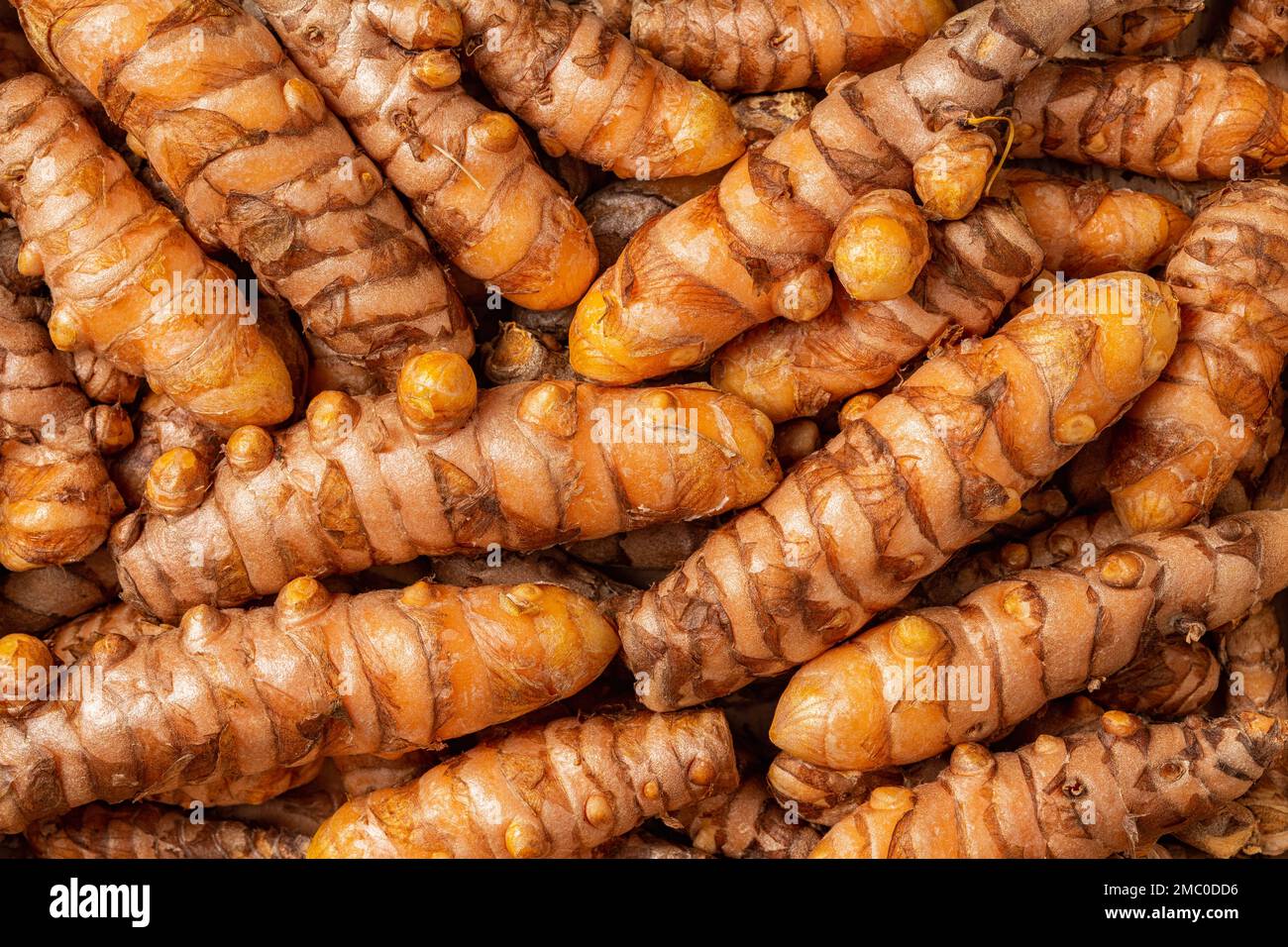Raw organic curcuma roots background. Macro. Heap of fresh turmeric ...