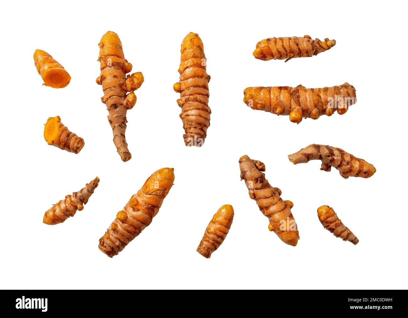 Set of raw curcuma rhizomes cutout macro. Whole organic turmeric roots ...