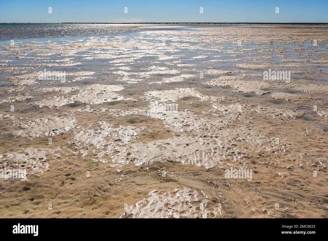 Sun shines to shallow sea during low tide, wet sand visible, sandy ...
