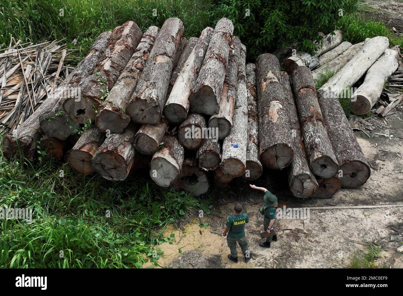 Combat deforestation hi-res stock photography and images - Alamy