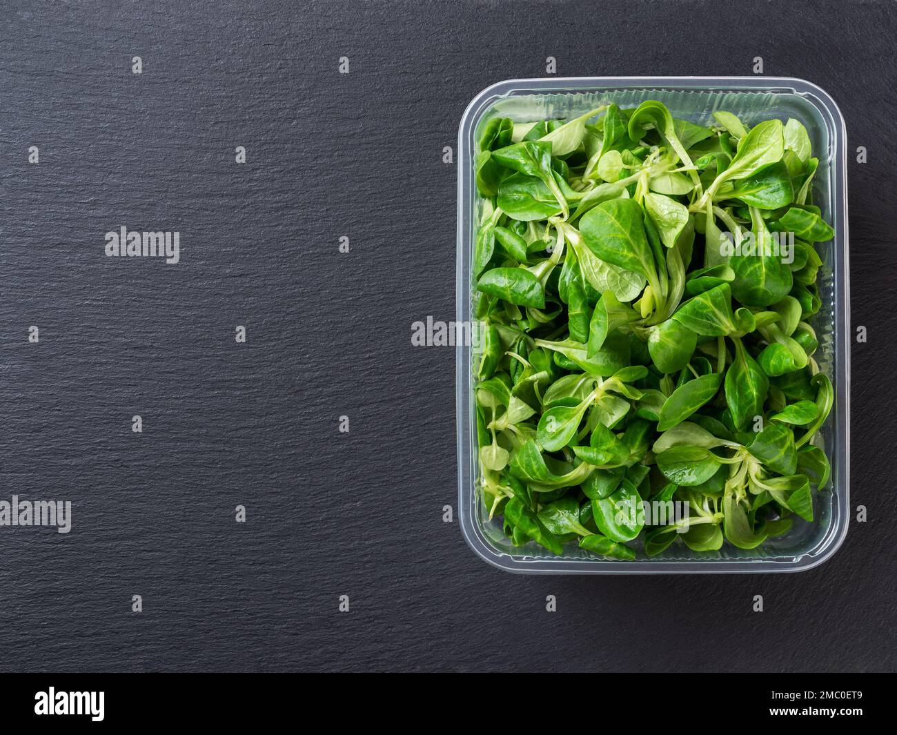 Lambs lettuce in a rectangular food container over black slate ...