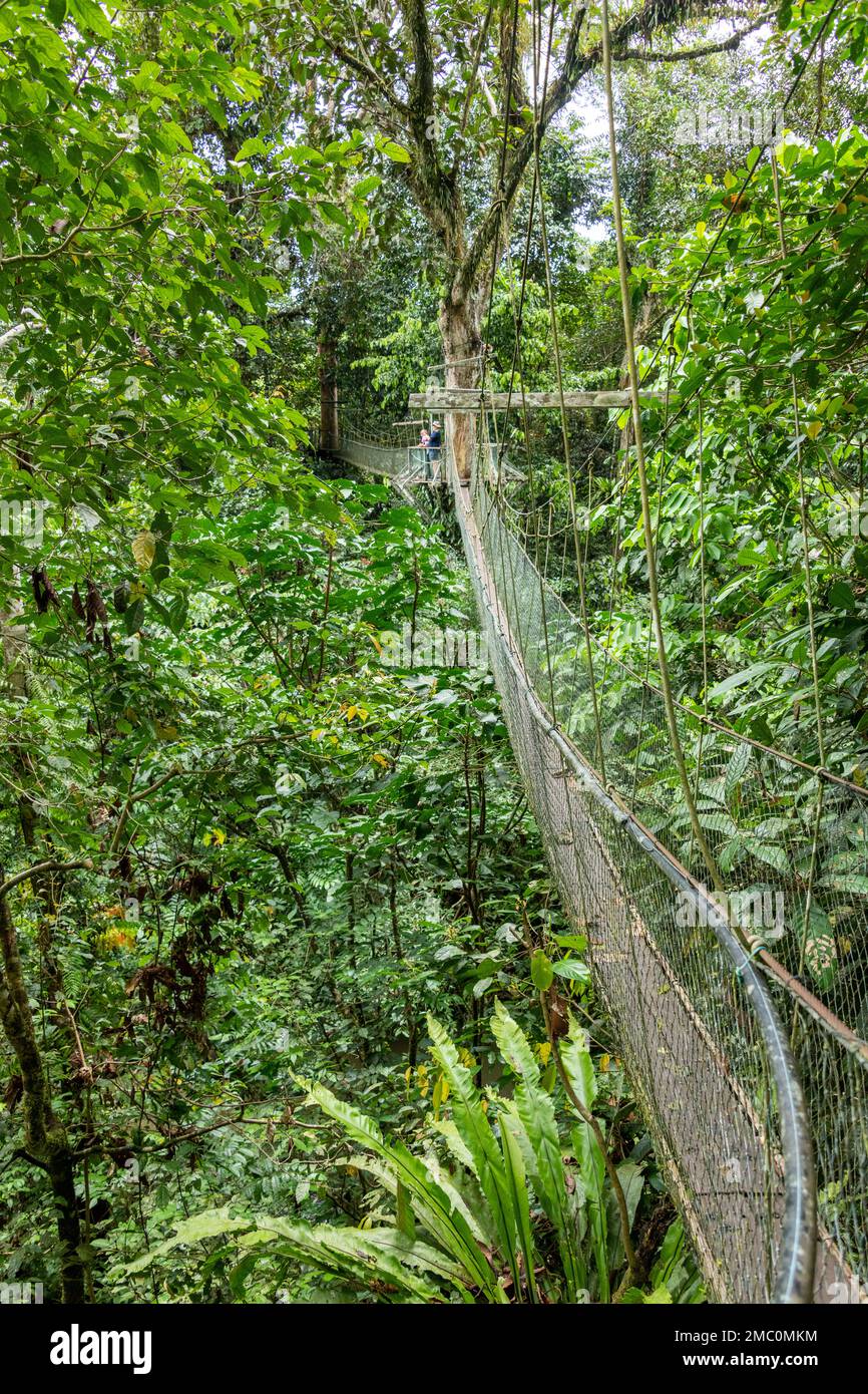 Hanging walkway hi-res stock photography and images - Alamy