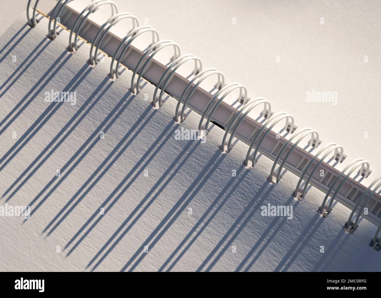 A close up of the metal rings and their long shadows binding the pages ...