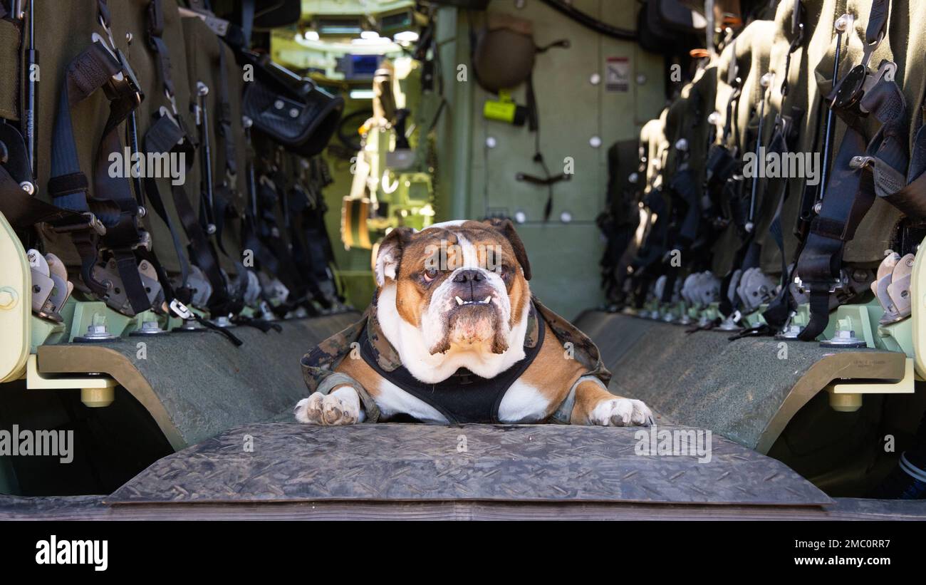 U.S. Marine Corps Cpl. Manny, the Marine Corps Recruit Depot San Diego ...