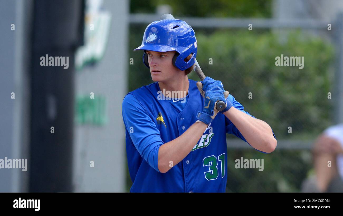 FGCU's Harrison Povey (31) bats during an NCAA baseball game on Sunday ...