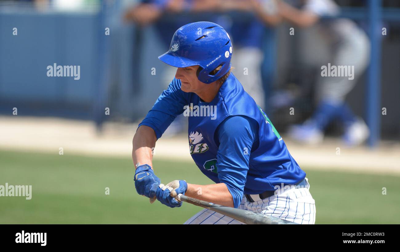 Harrison Povey (31) battles at the plate during an NCAA baseball game ...