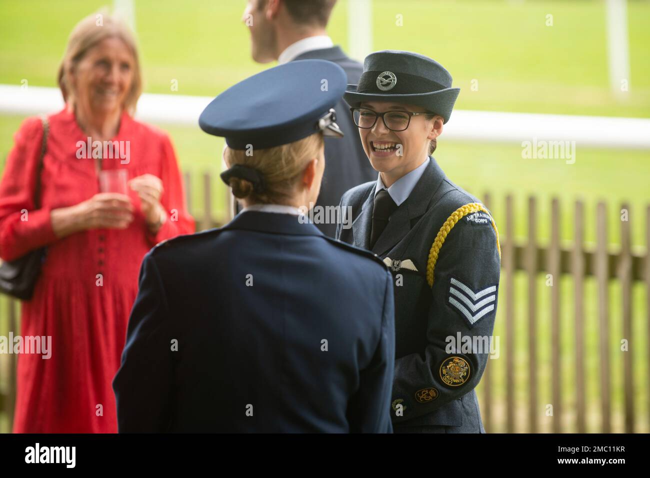 U.S. Air Force Col. Lisa Wildman, 501st Combat Support Wing vice ...