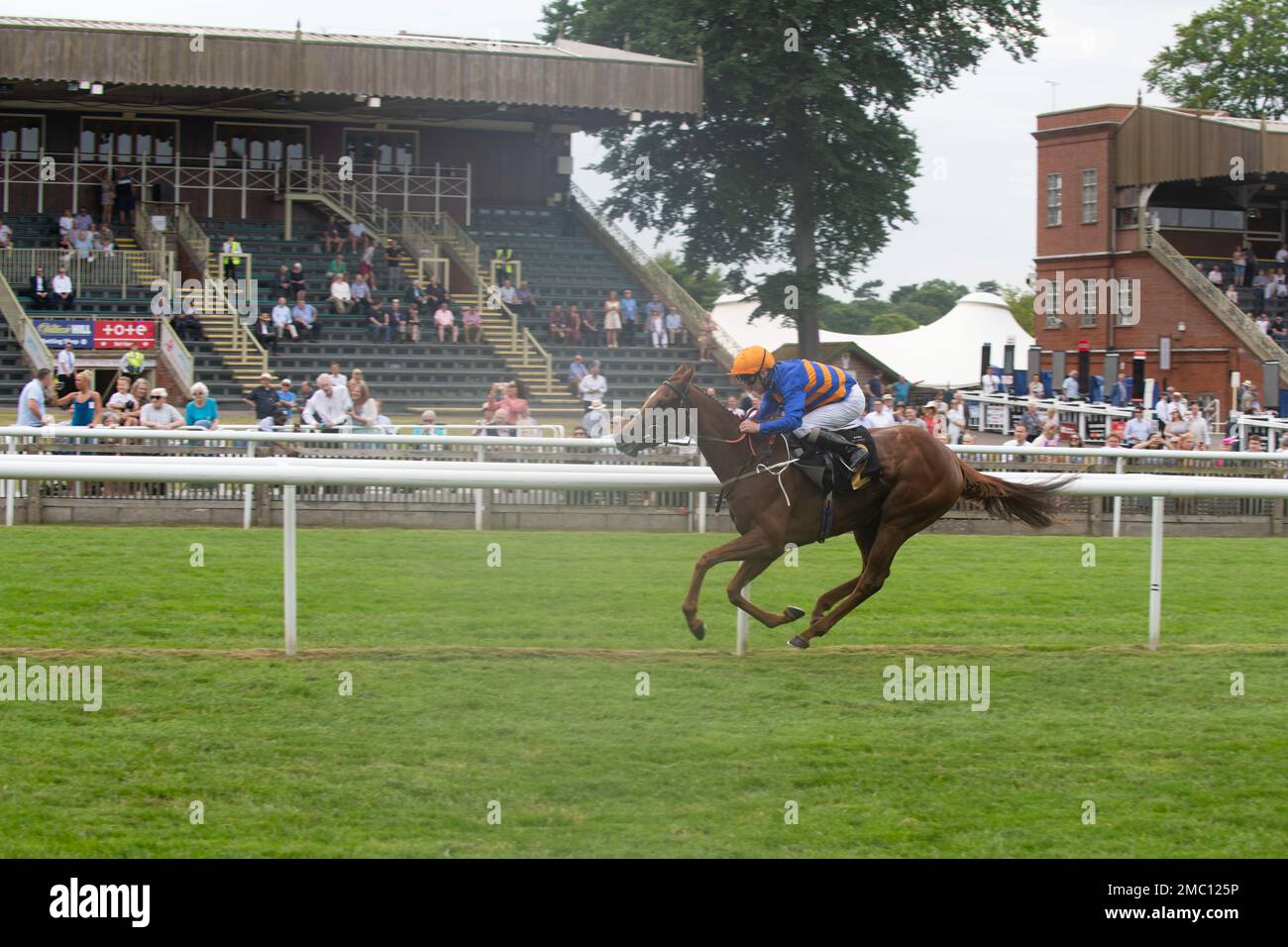 Newmarket races 2022 hi-res stock photography and images - Alamy