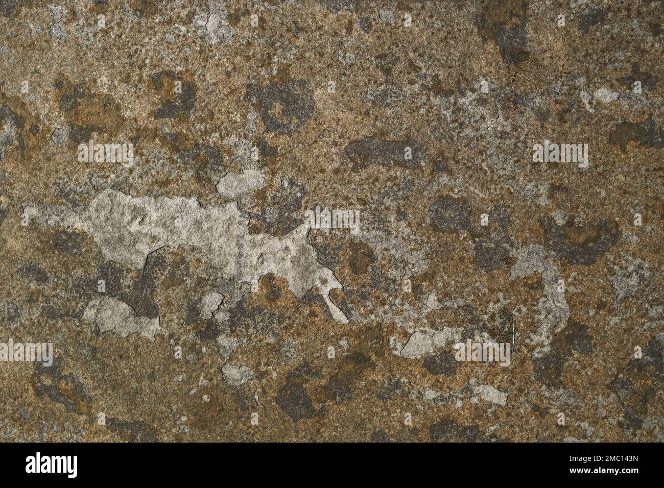 Porcelain wall tile detail texture Stock Photo - Alamy