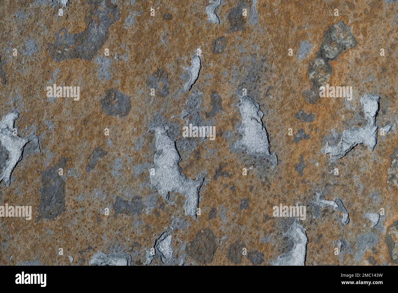Porcelain wall tile detail texture Stock Photo - Alamy