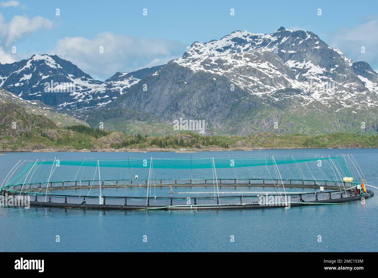 Breeding salmon farm hi-res stock photography and images - Alamy