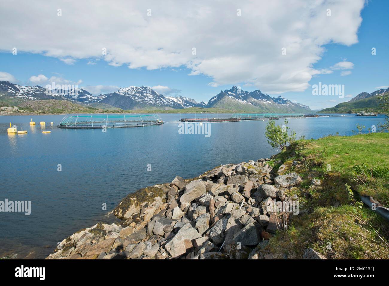 Salmon farm, Trollfjord, Norway Stock Photo - Alamy