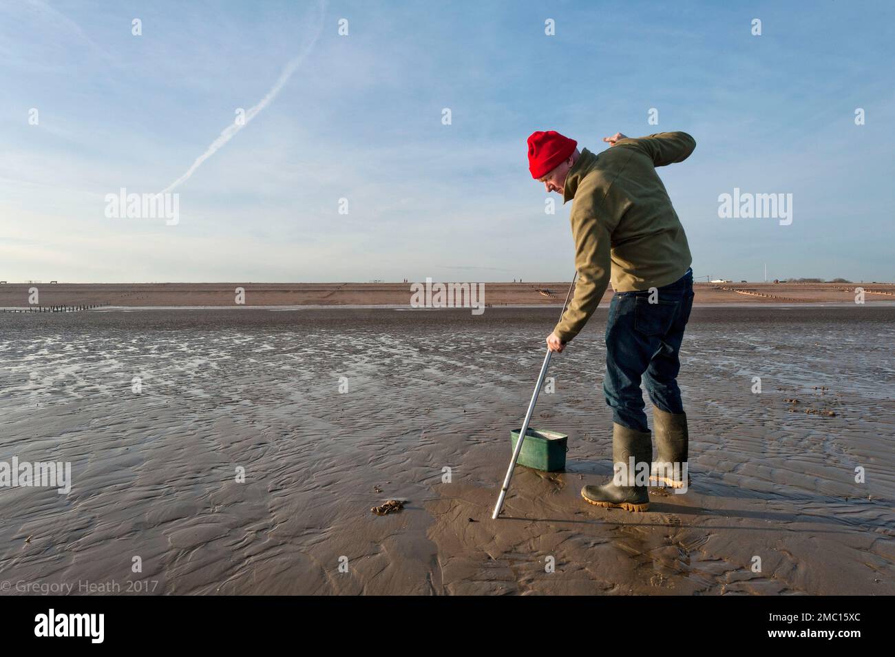 Lug worming hi-res stock photography and images - Alamy