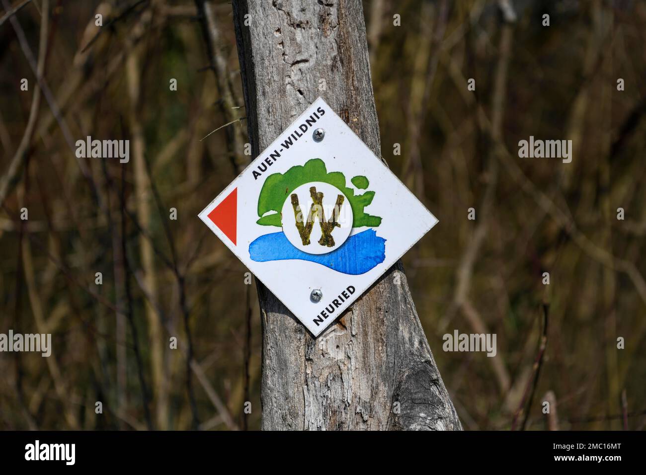 Sign at the Auen Wilderness Trail, near Neuried, Ortenaukreis, Black ...