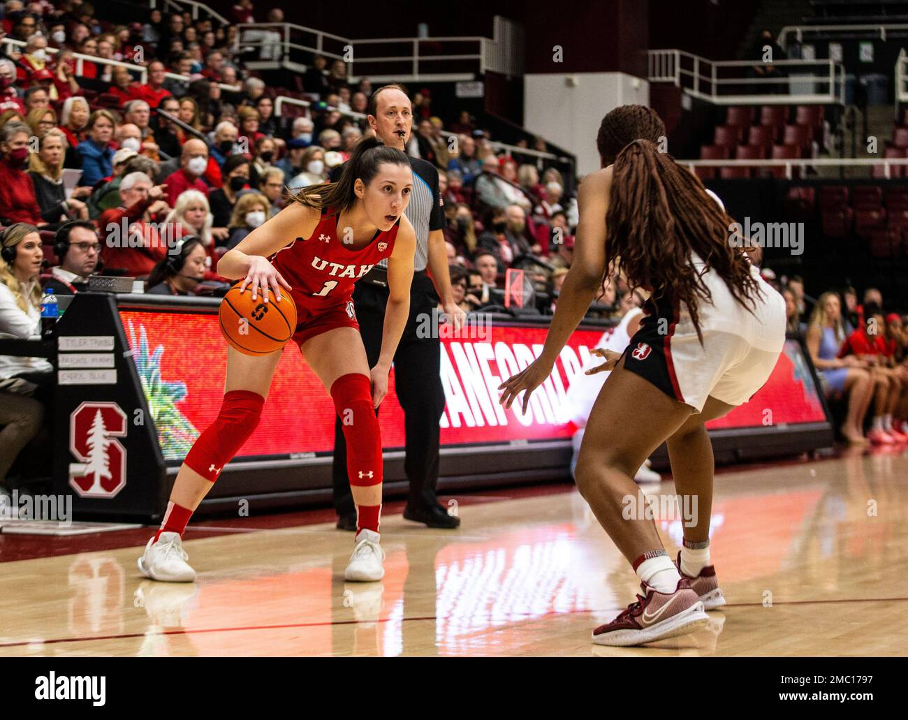 2023 0002 jpg hi-res stock photography and images - Alamy