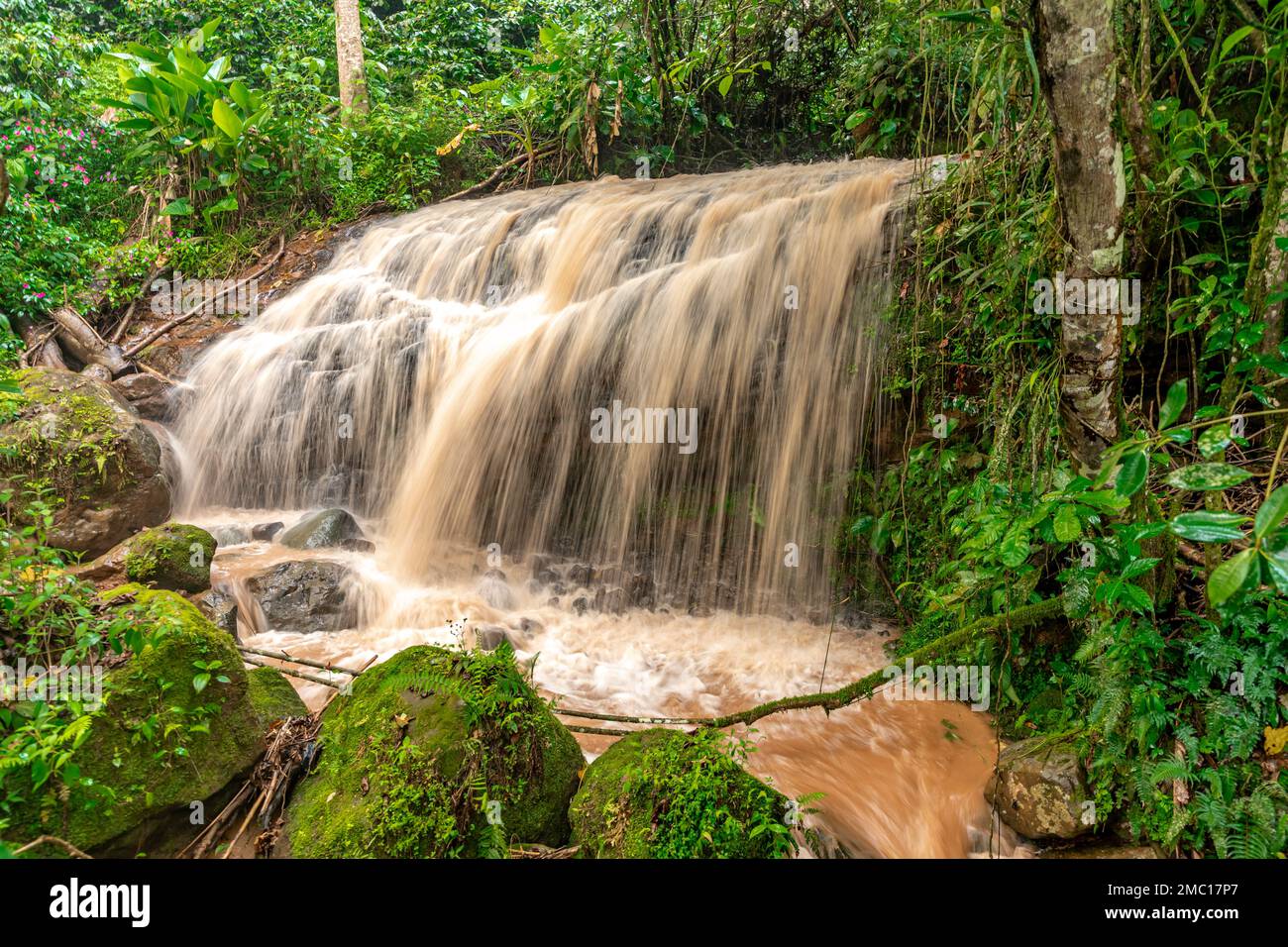 waterfall with rain water in the rain forest Stock Photo - Alamy